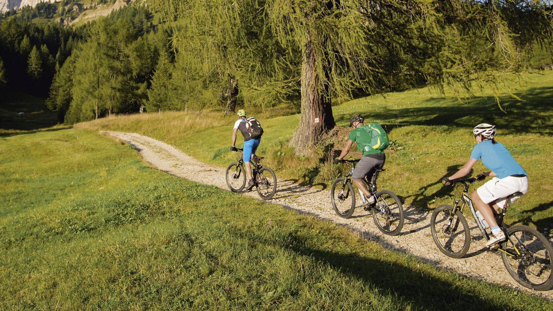 Fantastiche vacanze in bici nelle Dolomiti
